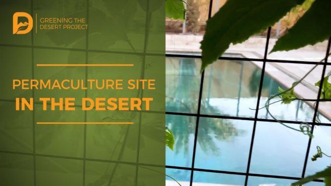 Videos - Greening The Desert Project
