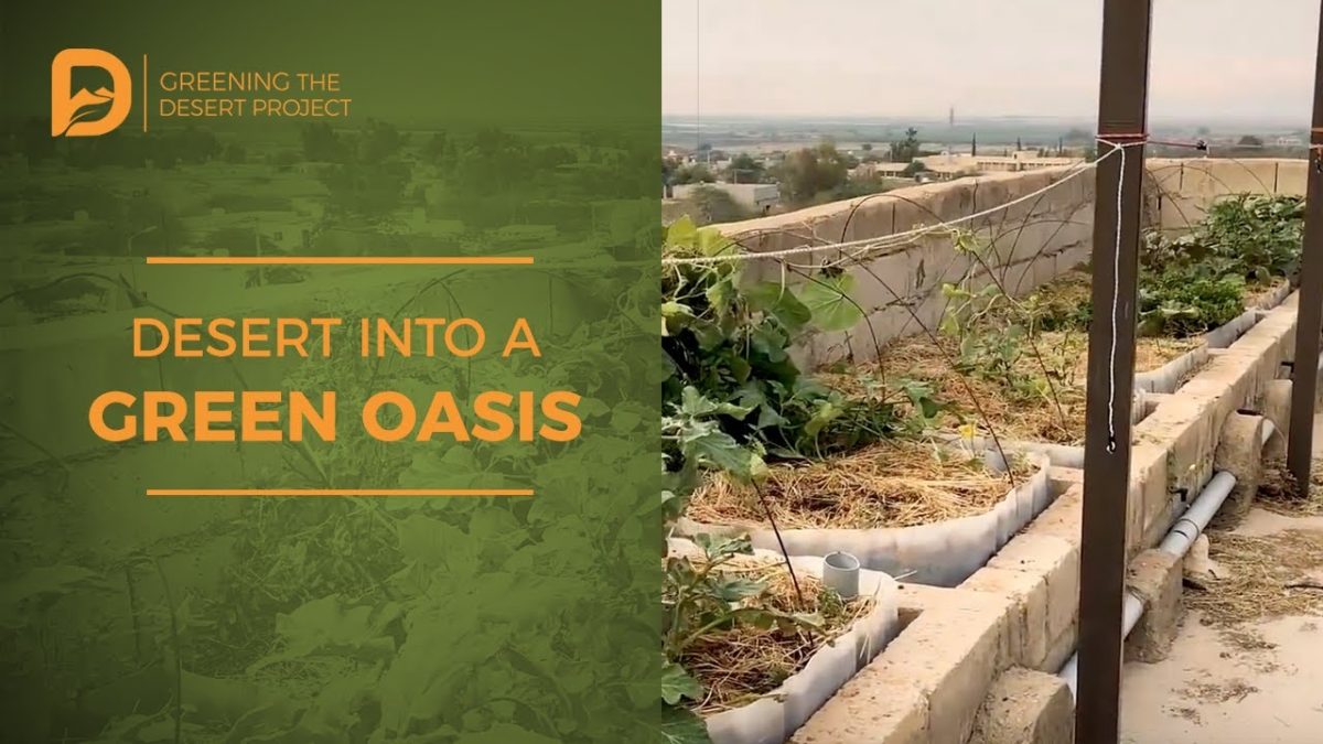 Videos - Greening The Desert Project