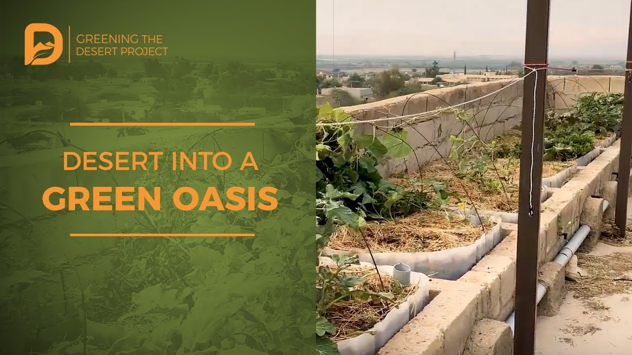 Humans Have the Potential to Turn Deserts into a Green Oasis - Greening ...