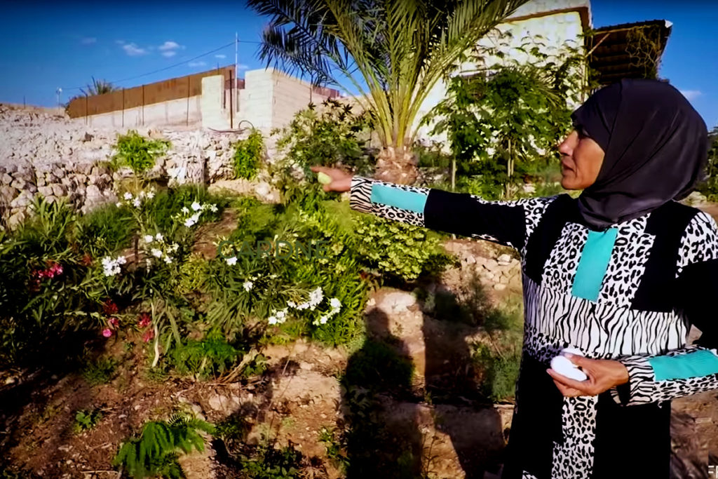 Articles - Greening The Desert Project