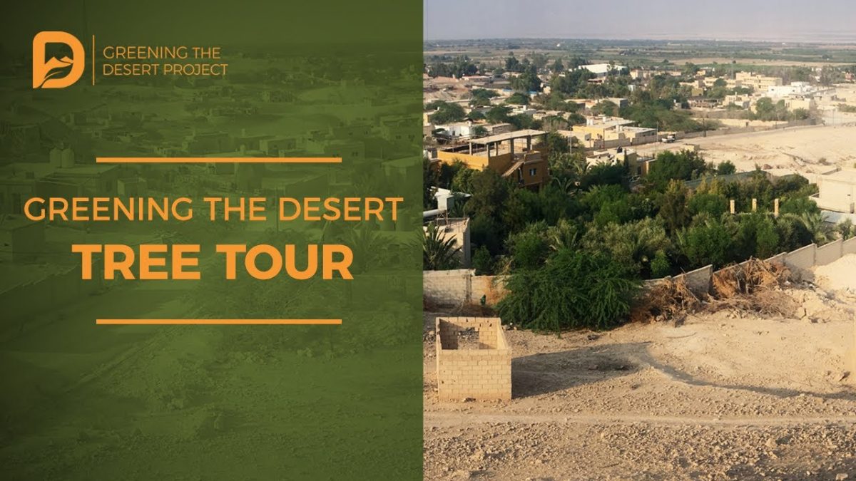 Videos - Greening The Desert Project
