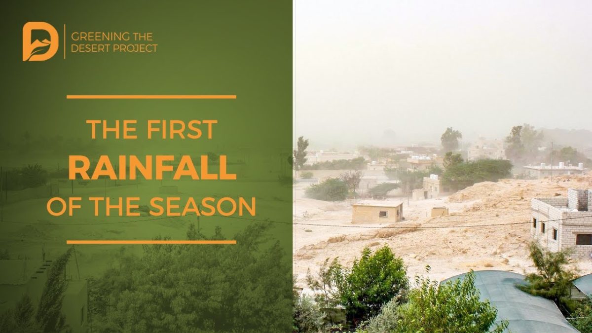 Videos - Greening The Desert Project