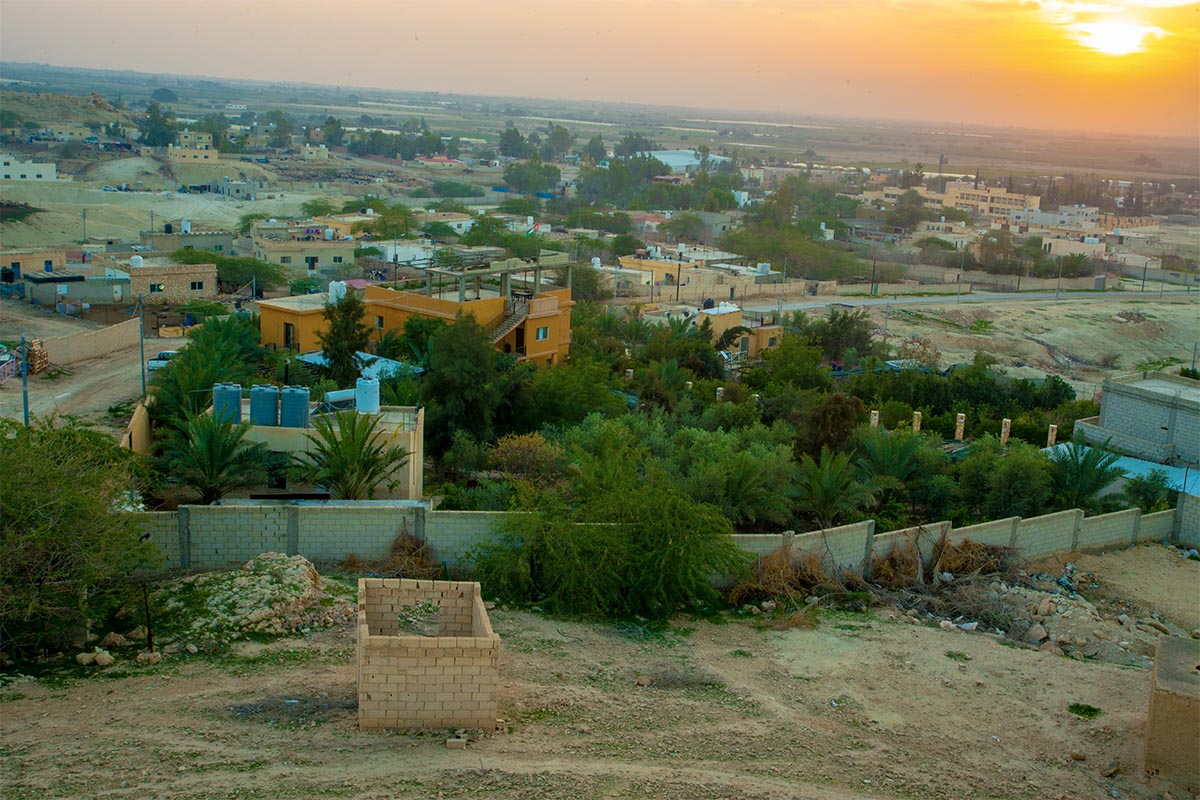 Desert Permaculture Garden