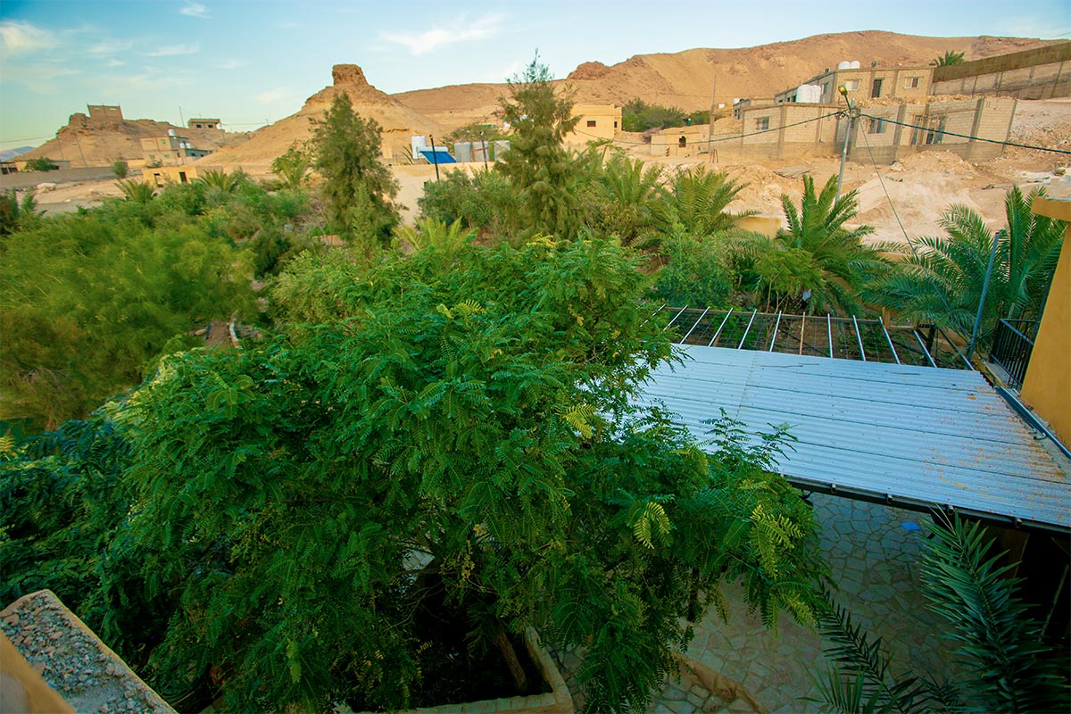 Desert Permaculture Garden