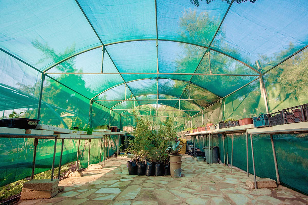 Desert Permaculture Garden