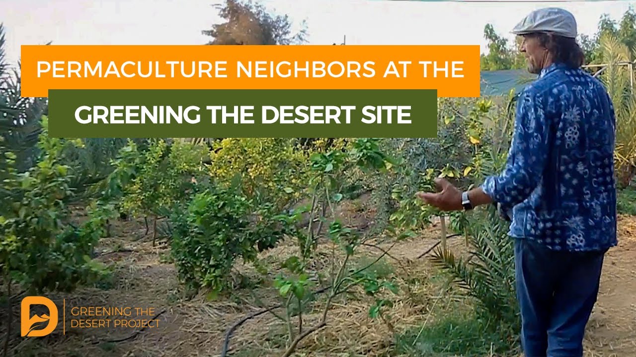 Greening The Desert Project - PRI Jordan - Permaculture Demonstration Site