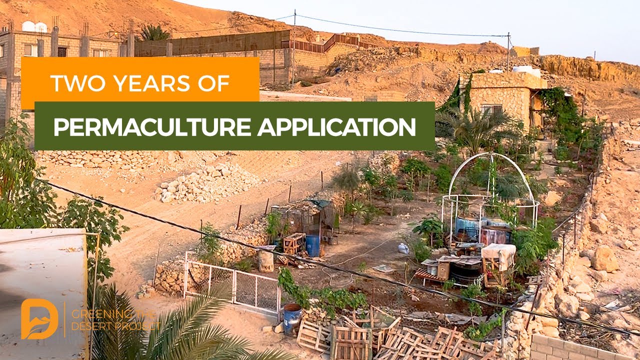 Two Years of Permaculture Application - Greening The Desert Project