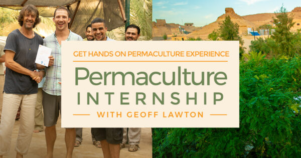 Jordan Phase IV 16th March - 26th April 2025 - Greening The Desert Project