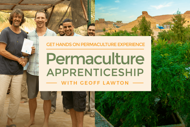 Greening The Desert Project - PRI Jordan - Permaculture Demonstration Site